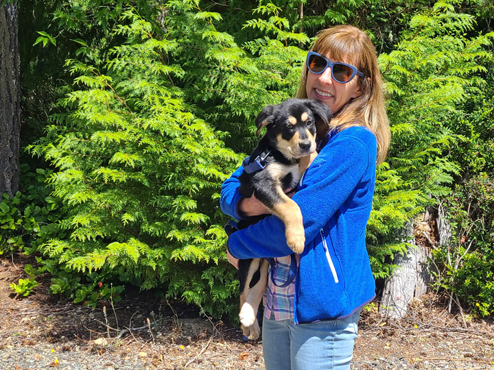 Chinook Puppies: Northwest Forest Litter - Week 8